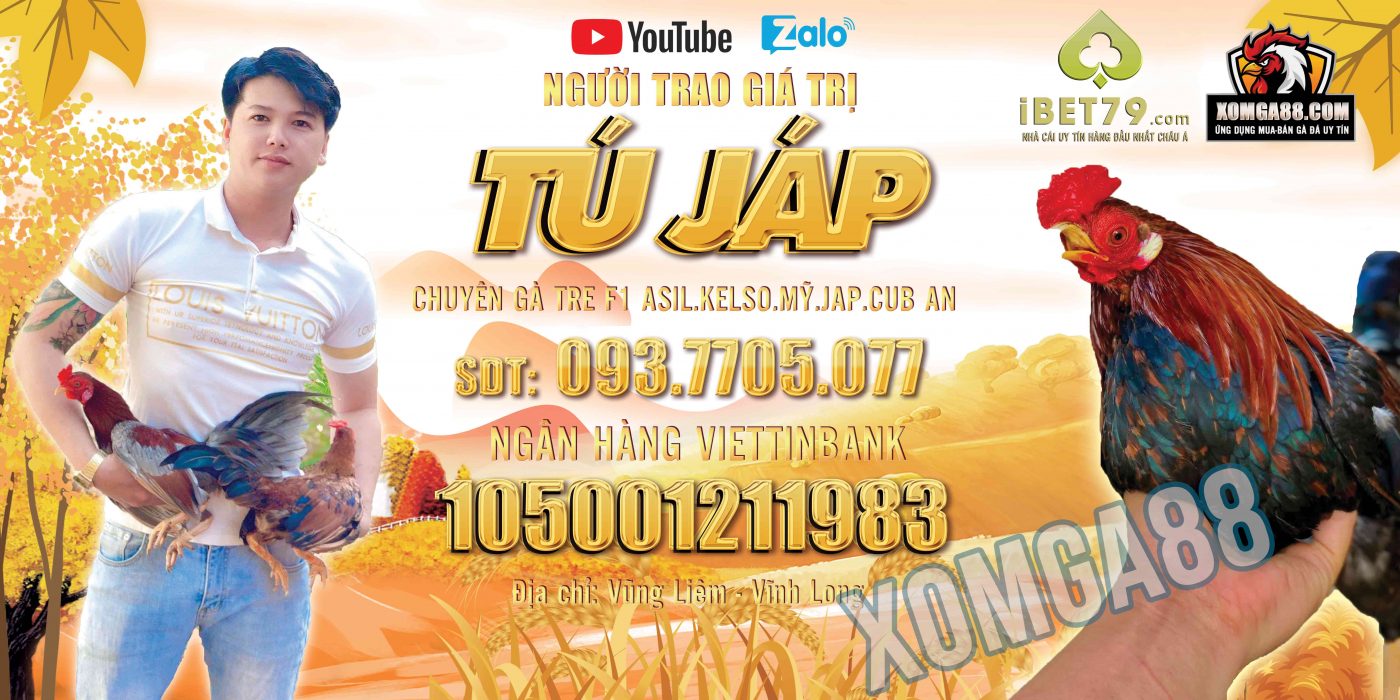 Trại gà Tú Jáp - Xomga79